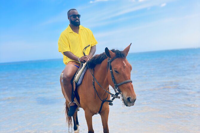 Horseback Ride n Swim Guided Tour In Ocho Rios - Who Will Love This Tour?