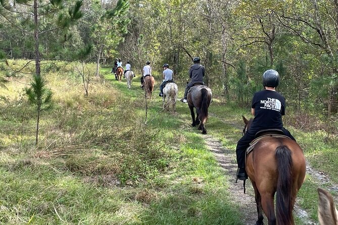 Horseback Ride on Scenic Lake Louisa Trails - Safety Measures and Requirements
