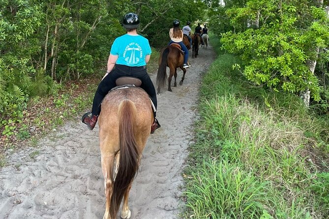 Horseback Ride on Scenic Lake Louisa Trails - Meet the Friendly Guides