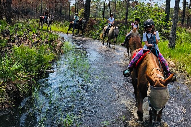 Horseback Ride on Scenic Lake Louisa Trails - Plan Your Visit and Additional Ride Options