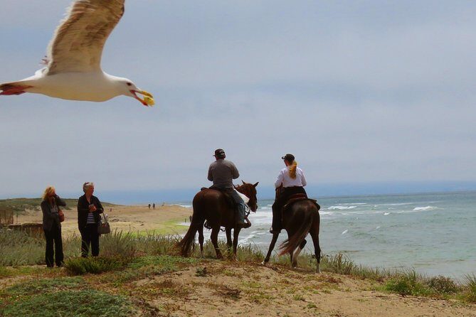 Horseback Ride on the Beach & Alcatraz Tour in San Francisco - A Practical Look at the Experience