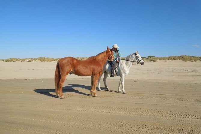 Horseback Ride on the Beach & Alcatraz Tour in San Francisco - What to Expect at Half Moon Bay and the Beach Ride