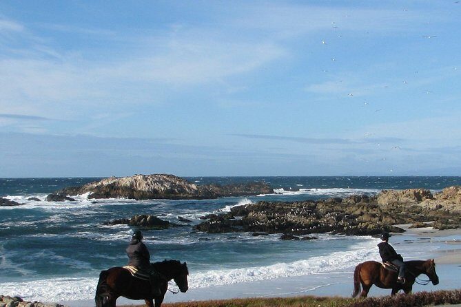 Horseback Ride on the Beach & Alcatraz Tour in San Francisco - What’s Included and What’s Not