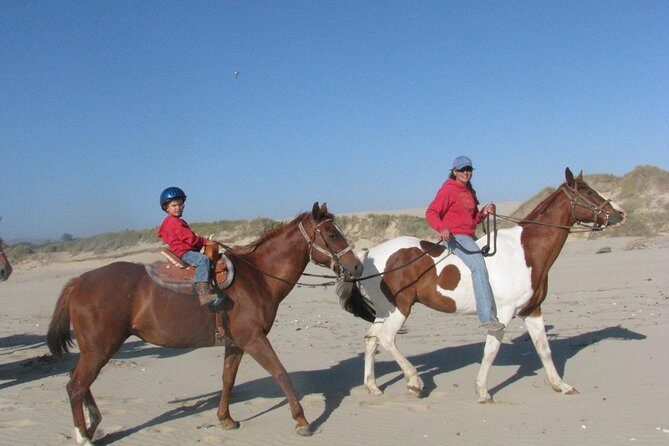 Horseback Ride on the Beach & Alcatraz Tour in San Francisco - The Value of the Experience