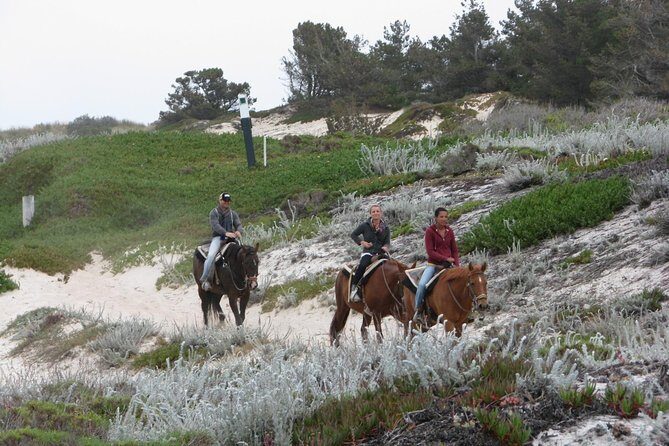 Horseback Ride on the Beach & Alcatraz Tour in San Francisco - Who Should Consider This Tour?