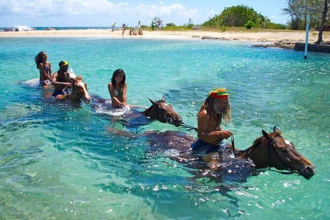 Horseback Ride & Swim Jamaica/Montego Bay - Introduction