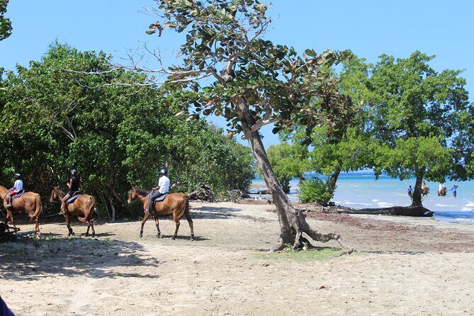 Horseback Ride & Swim Jamaica/Montego Bay - Logistics and Value