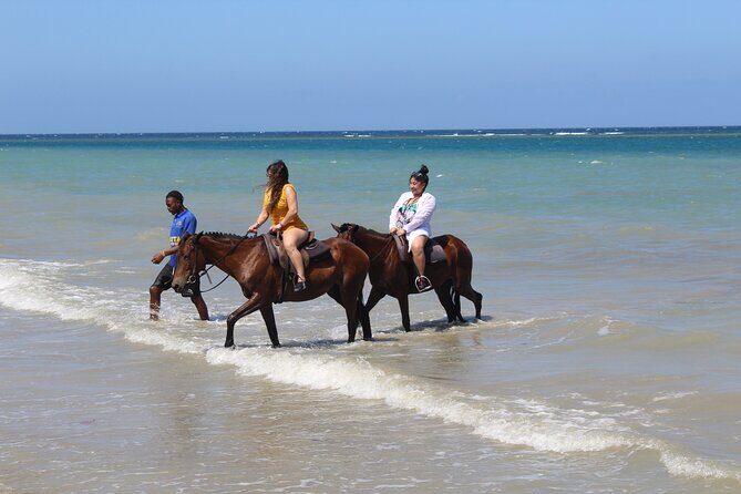 Horseback Ride & Swim Jamaica/Montego Bay - The Practical Aspects