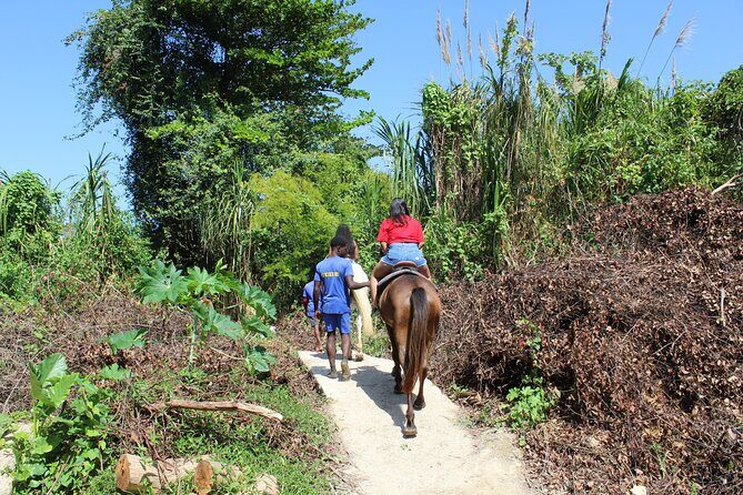Horseback Ride & Swim Jamaica/Montego Bay - Who Should Consider This Tour?
