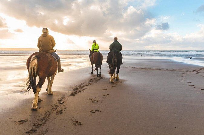 Horseback Ride Through Puerto Plata - FAQ