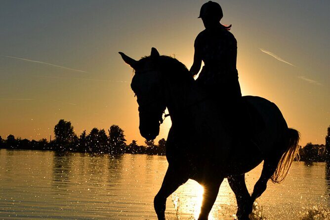 Horseback Ride Through Puerto Plata - The Itinerary: What to Expect from Start to Finish