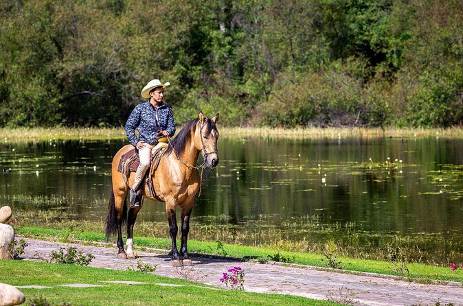 Horseback Ride Through Puerto Plata - Authentic Experiences in a Nutshell