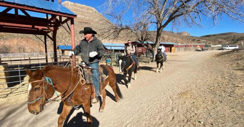 Horseback Ride thru Joshua Tree Forest with Buffalo & Lunch - Who Will Love This Tour?
