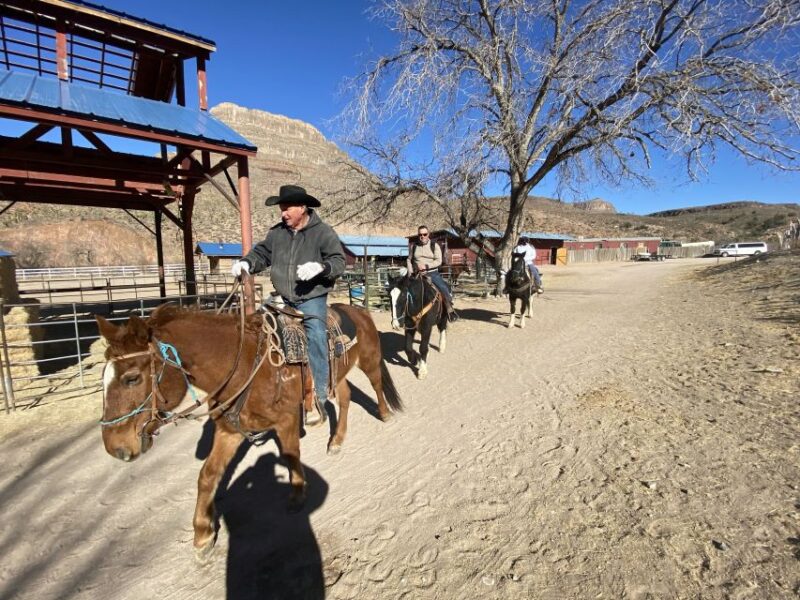 Horseback Ride thru Joshua Tree Forest with Buffalo & Lunch - What to Expect from a Day in the Desert