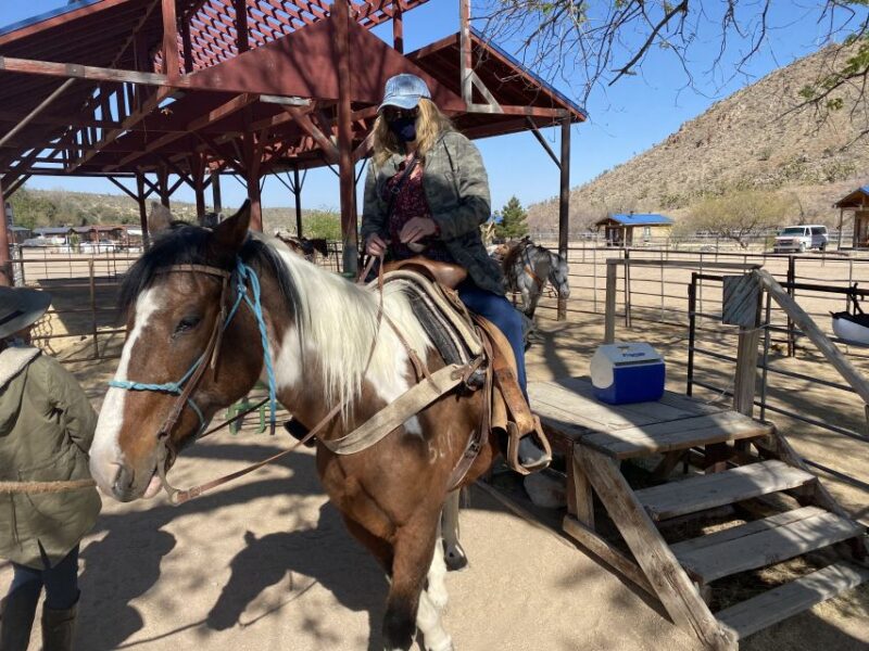 Horseback Ride thru Joshua Tree Forest with Buffalo & Lunch - The Horseback Ride: The Heart of the Experience