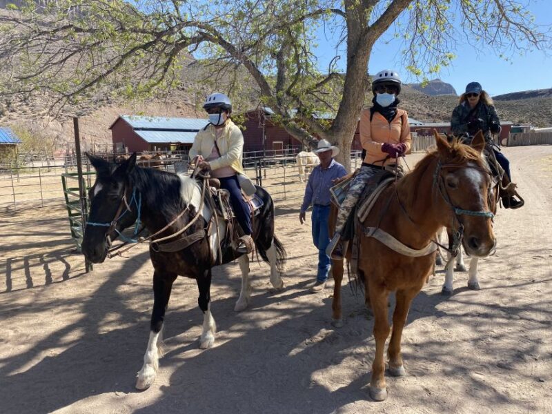 Horseback Ride thru Joshua Tree Forest with Buffalo & Lunch - The Value of Authentic Experiences