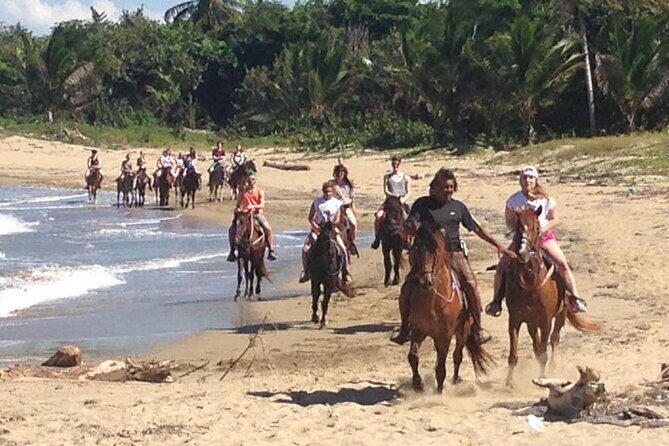 Horseback Ride Tour on the Beach in Puerto Plata - Is It Worth the Price?