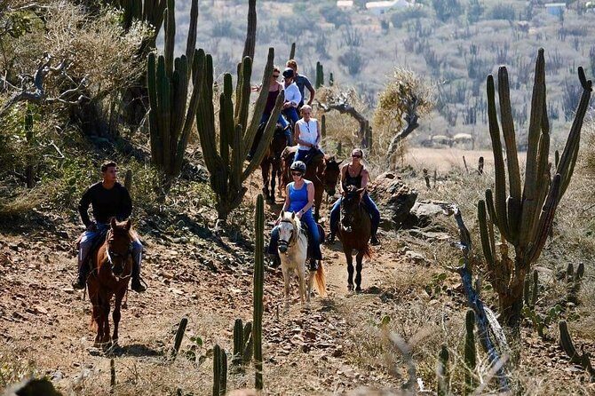 Horseback Ride Tour to Natural Pool in Arikok National Park - An Authentic Adventure: What to Expect