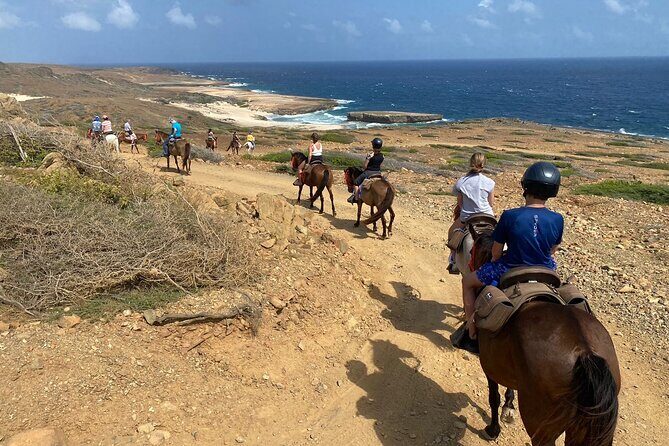 Horseback Ride Tour to Natural Pool in Arikok National Park - Who Is This Tour Best For?