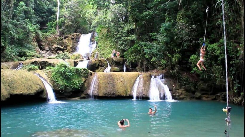 Horseback Ride , Tubing & Dunn's River Falls Daytrip - Why This Tour Could Be a Great Choice