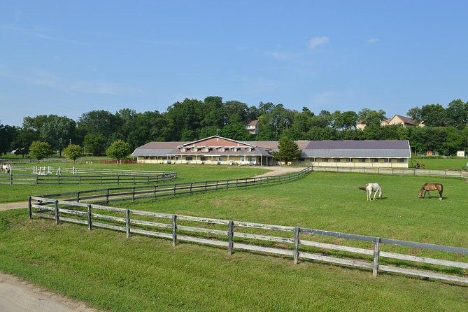 Horseback Rides, Interactions, and Petting Zoo - Analyzing the Value