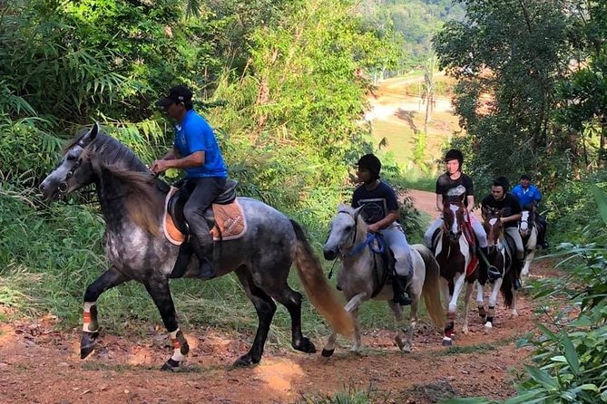 Horseback Riding 1 hour trail - Key Points