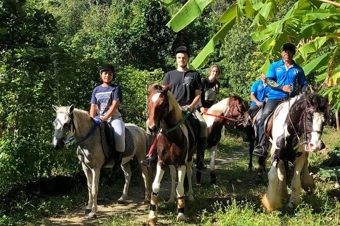 Horseback Riding 1 hour trail - The Itinerary in Detail