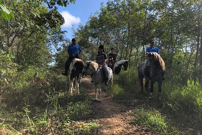 Horseback Riding 1 hour trail - The Sum Up