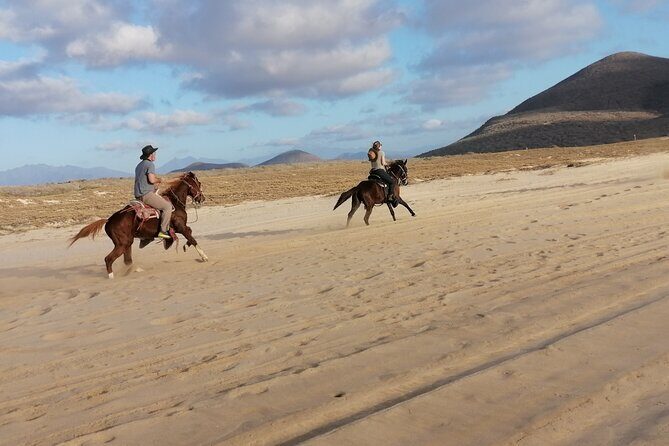 Horseback riding - An In-Depth Look at the Horseback Riding Tour