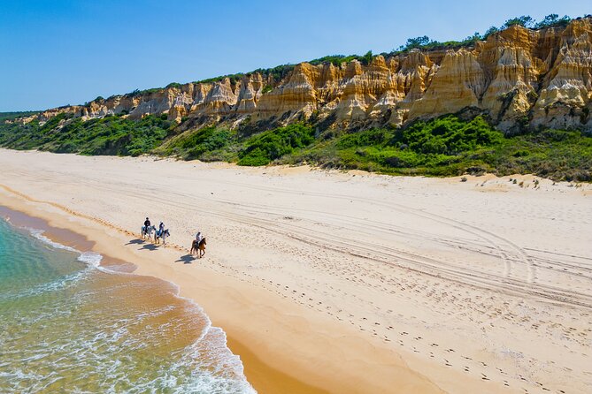 Horseback Riding, 4 Options-Mountain, Lesson Ring, Beach (2Hours) - Duration and Options