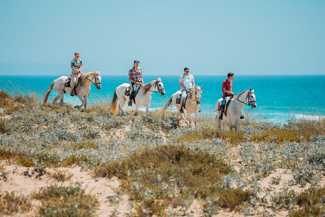 Horseback Riding, 4 Options-Mountain, Lesson Ring, Beach (2Hours) - Included and Not Included