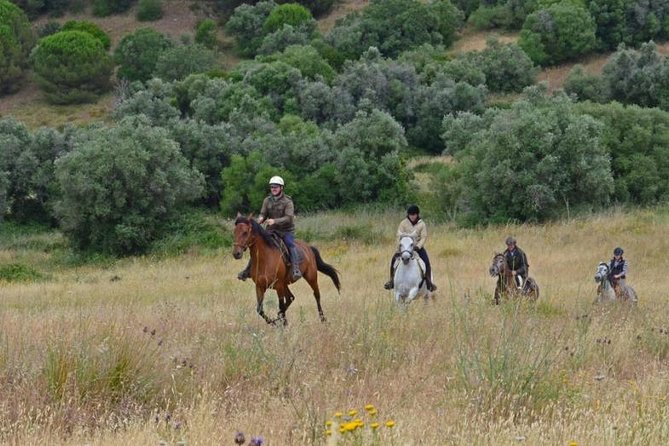 Horseback Riding, 4 Options-Mountain, Lesson Ring, Beach (2Hours) - Pickup and End Point
