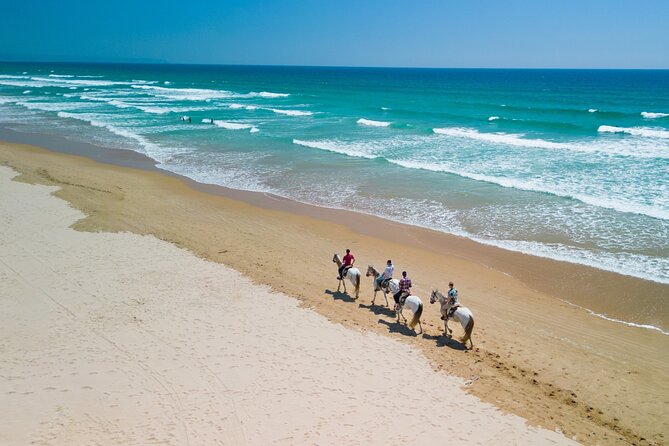 Horseback Riding, 4 Options-Mountain, Lesson Ring, Beach (2Hours) - Participant Feedback