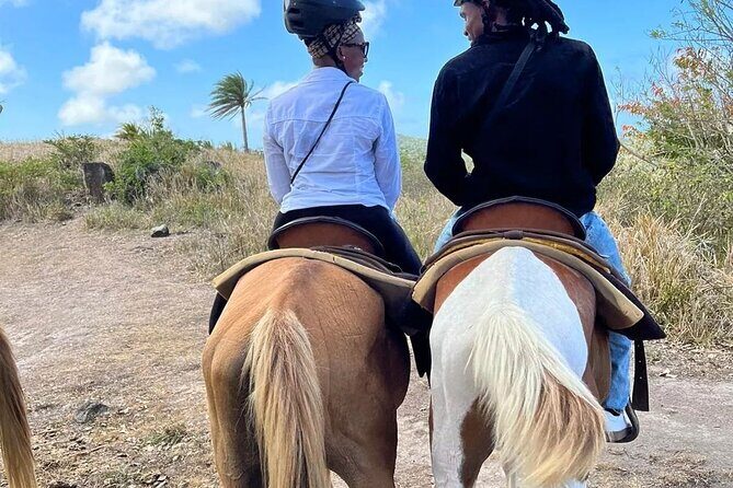 Horseback Riding, A Scenic Escape - Small Group Dynamics and Personalization