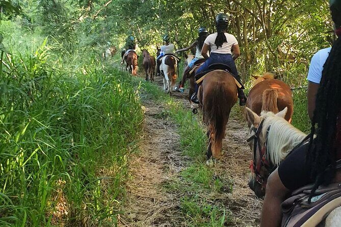 Horseback Riding, A Scenic Escape - What the Reviews Say: Authentic Perspectives