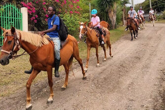 Horseback Riding, A Scenic Escape - Practical Tips for Participants