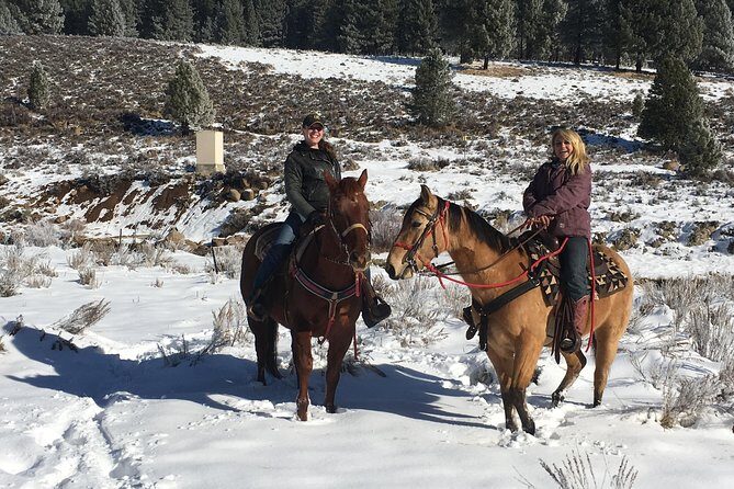 Horseback Riding Adventure from Reno - The Sum Up: Is It Worth It?
