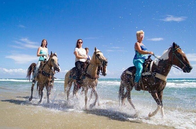 Horseback Riding Adventure in Punta Cana - The Sum Up