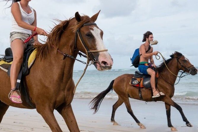 Horseback Riding Adventure on Macao Beach  Punta Cana - Introduction