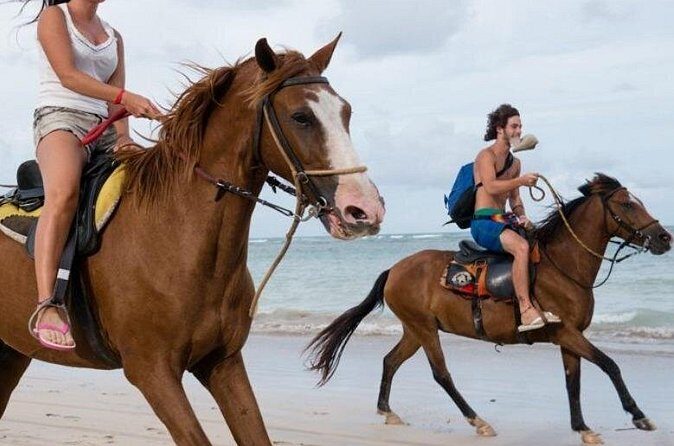 Horseback Riding Adventure on Macao Beach  Punta Cana - The Sum Up