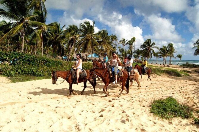 Horseback Riding Adventure on Macao Beach  Punta Cana - FAQ