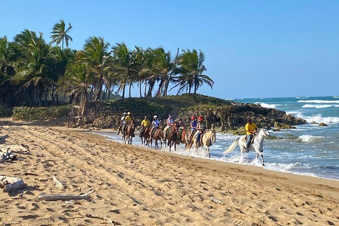 Horseback Riding Adventure Punta Cana - Key Points