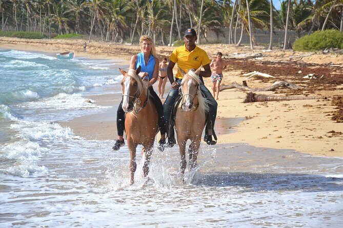 Horseback Riding Adventure Punta Cana - The Ride and Its Highlights