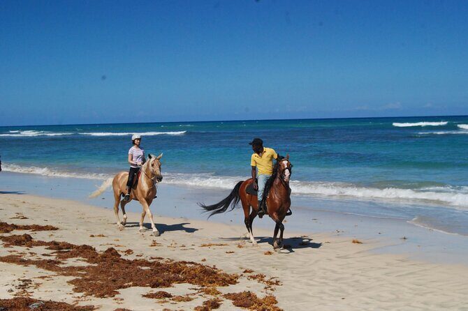 Horseback Riding Adventure Punta Cana - The Bottom Line: Who Should Book This Tour?