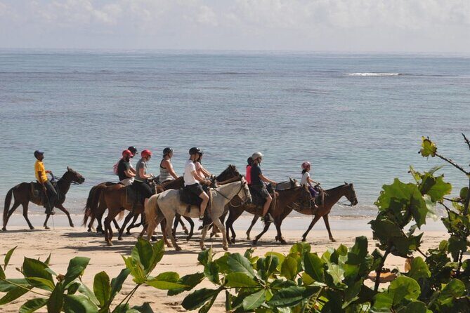 Horseback Riding Adventure Punta Cana - Final Thoughts