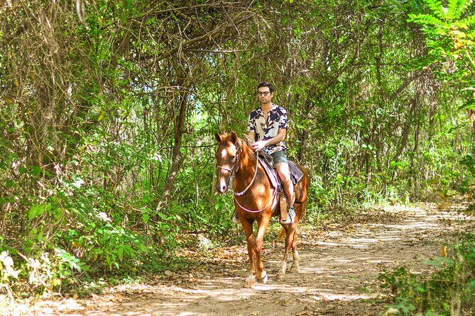 Horseback Riding along Macao Beach with Transportation - An In-Depth Look at the Experience