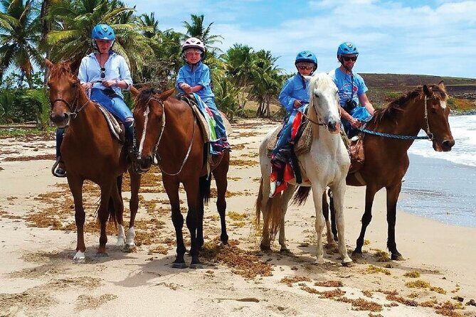 Horseback Riding along the Beach - Key Points