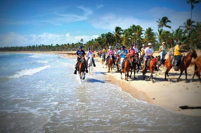 Horseback Riding along the Beach - Final Thoughts: Who Should Consider This Tour?