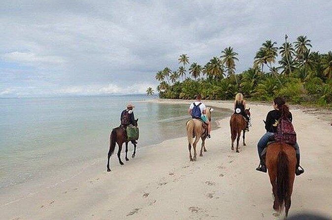 Horseback Riding Along the Beaches of Punta Cana and Macao - The Sum Up