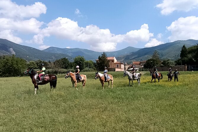 Horseback riding and aperitif 2 hours for beginners - Who Is This Tour Best For?